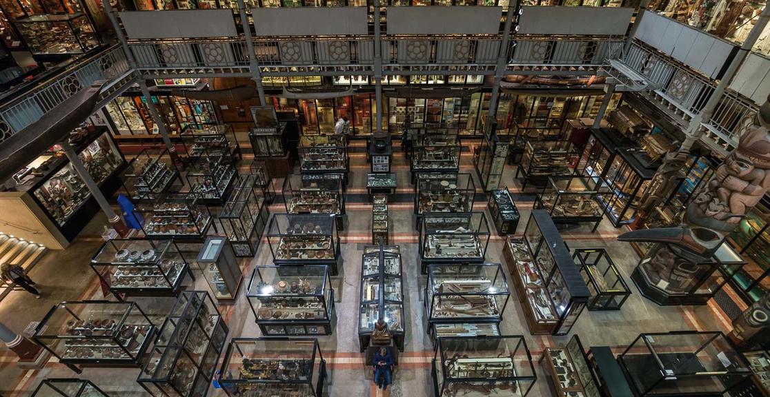 Rethinking Relationships | Pitt Rivers Museum